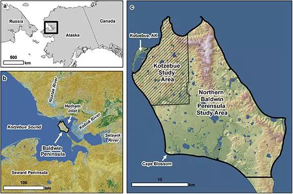 Bobri pospešujejo podnebne spremembe na Aljaski 26430_2