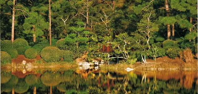 Floridas frodige japanske hager