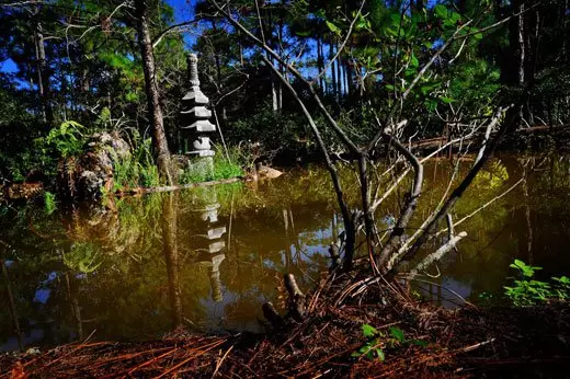 Bujni japonski vrtovi Floride 26480_11