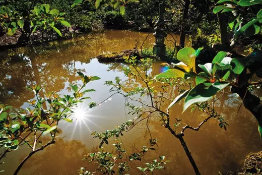 Florida's Lush Japanese Gardens 26480_7