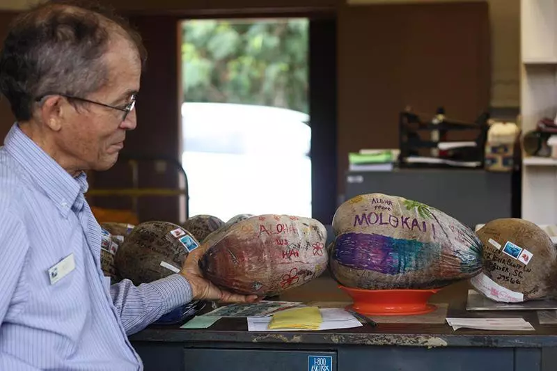 Puoi spedire una noce di cocco in qualsiasi parte del mondo da questo ufficio postale alle Hawaii