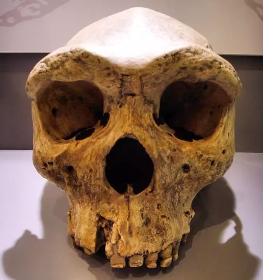 1921ean, meatzari batek Kabwe 1 aurkitu zuen, Broken Hill Skull ere deitua.