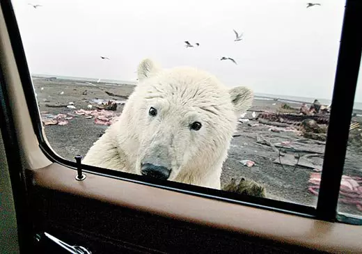 Barrow, Alaska: Ground Zero fyrir loftslagsbreytingar 26578_12