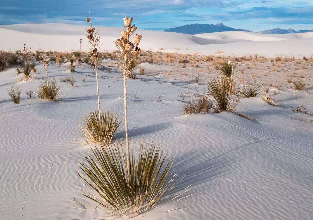 Sex platser att upptäcka världens mest hisnande sanddyner 26586_15