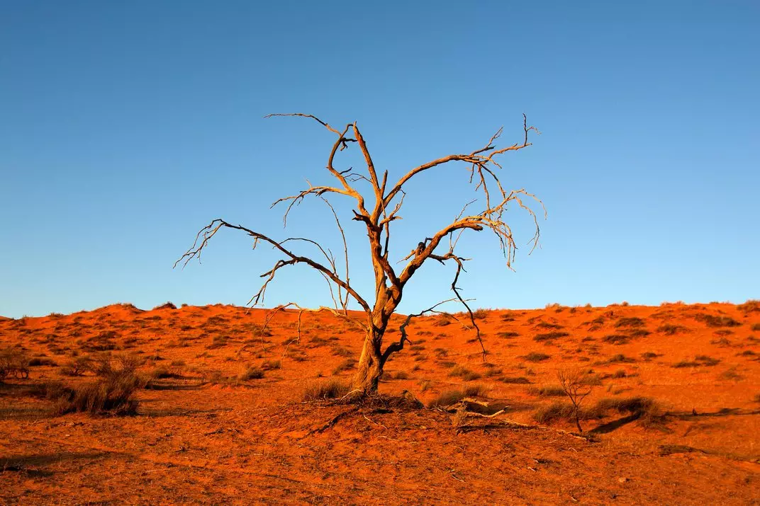 Seis lugares para ver as dunas de areia mais deslumbrantes do mundo 26586_19