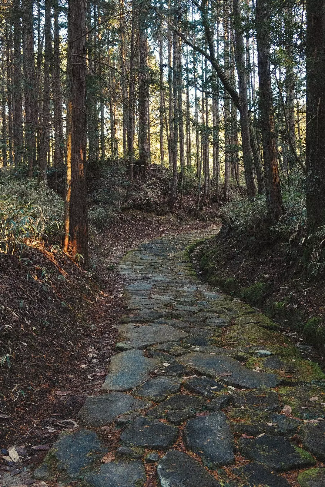 Moies fréi op enger aler Streck vun der Kiso Road, Japan.