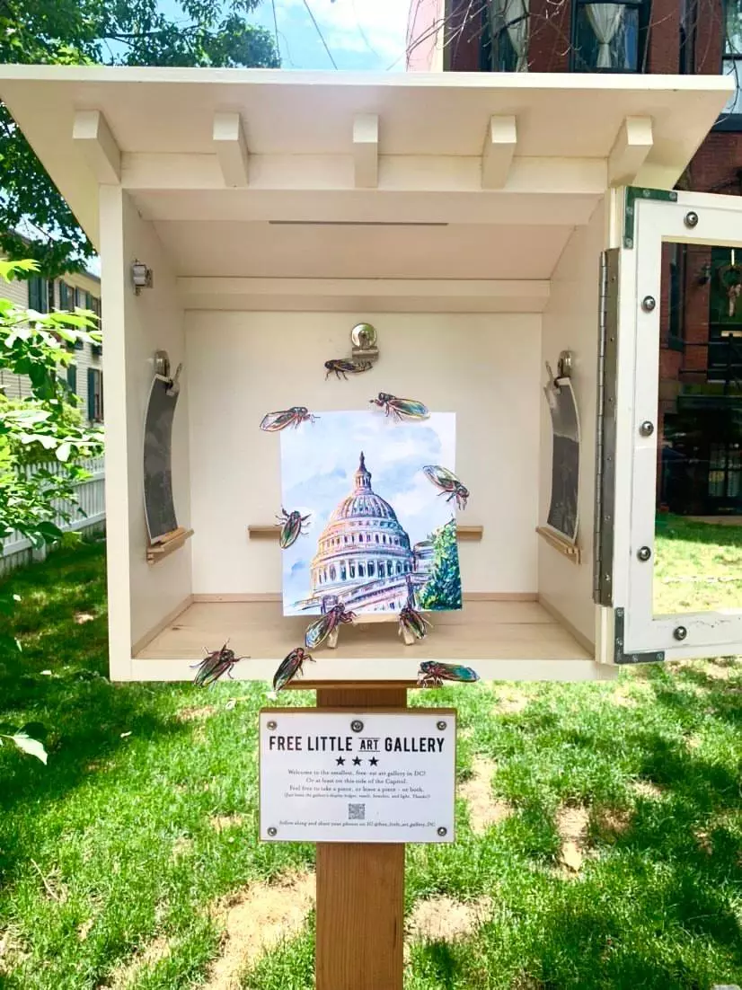 O lucrare de artă cu tematică de cicada la Washington, D.C. FLAG