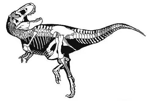 Tyrannosaurus dhidi ya Alamosaurus