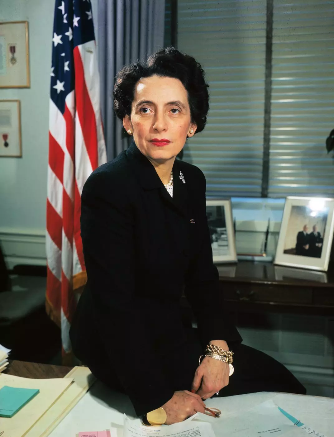 Анна Розенберг, помощник-министър на отбраната, беше най-високопоставената жена в историята на департамента, но не и преди да се изправи пред клеветническа кампания, водена от Маккарти.
