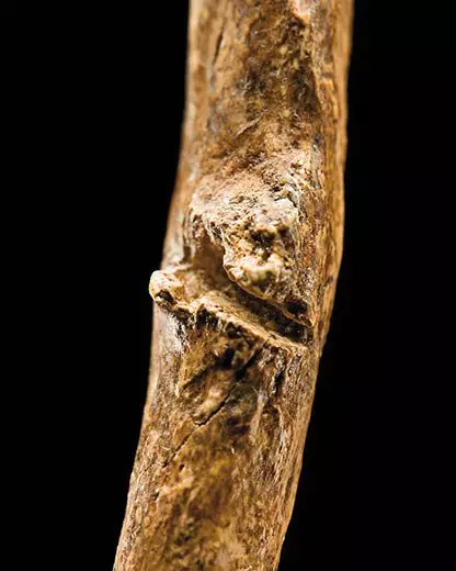 Скелетите на пештерата Шанидар 26698_3