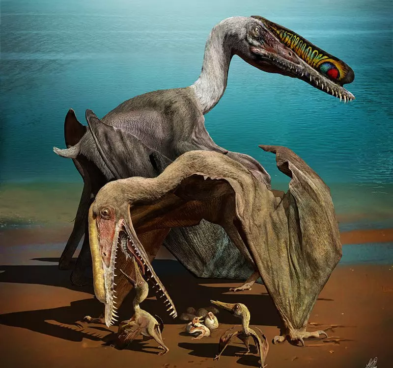 Pterosaurs Irashobora Kuguruka Bikimara Kubona