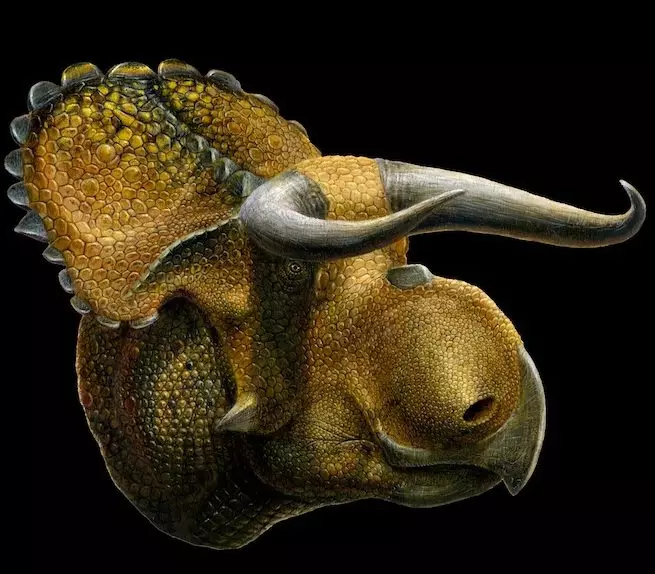 Jaunatklātais Jūtas dinozaurs izskatās kā krusts starp Triceratops un vēršu