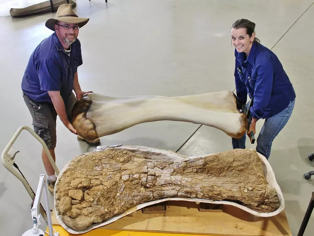 Une photo de deux personnes tenant une reconstruction d'un humérus colossal de dinosaure. L'humérus réel se trouve à proximité sur une table.