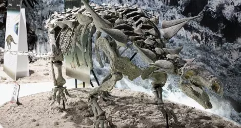 مسار Nodosaur التابع لناسا