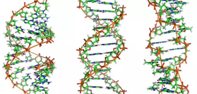 Bicher vun der Zukunft kënnen an DNA geschriwwe ginn