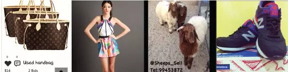 Poduzetnici koriste Instagram za prodaju svega, od džempera do ovaca