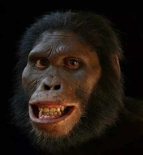 I-Australopithecus africanus