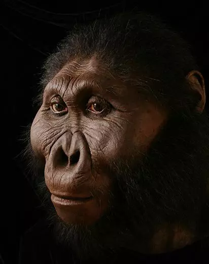 Paranthropus boisei