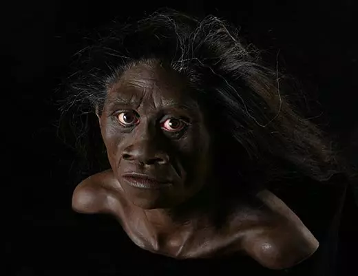 homo floresiensis