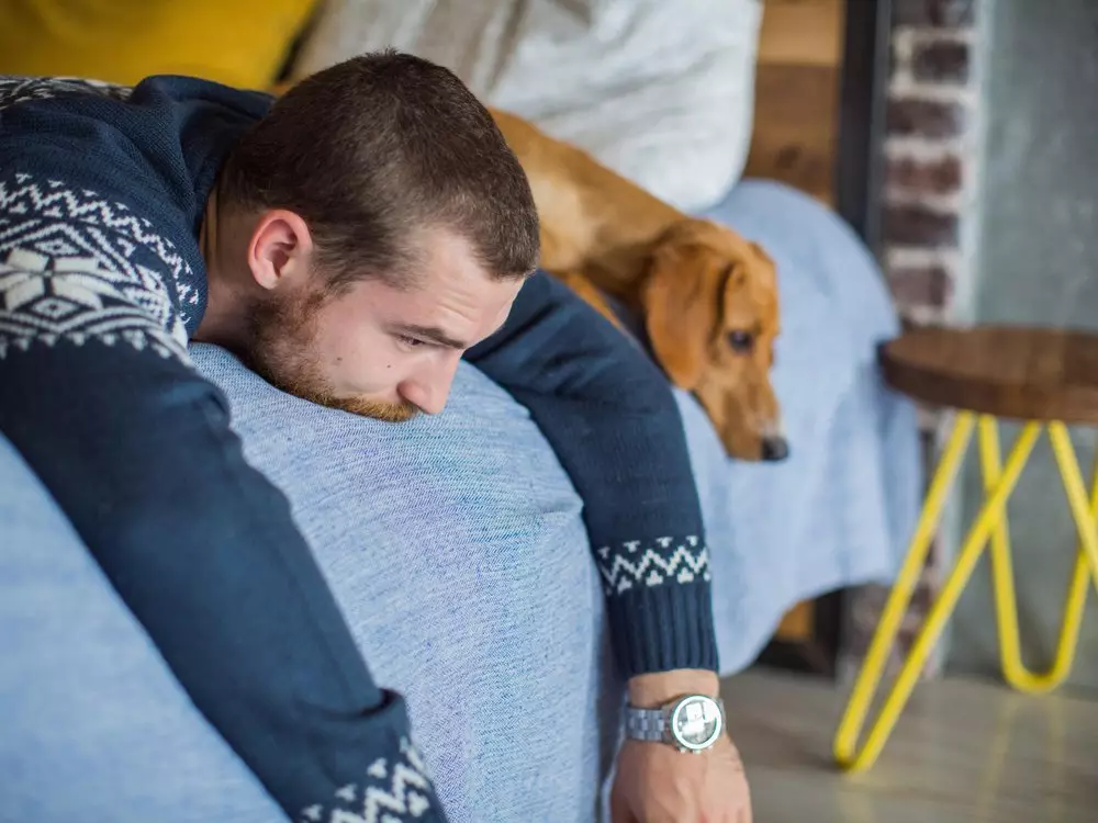 Blijf kalm en beklemtoon de hond niet