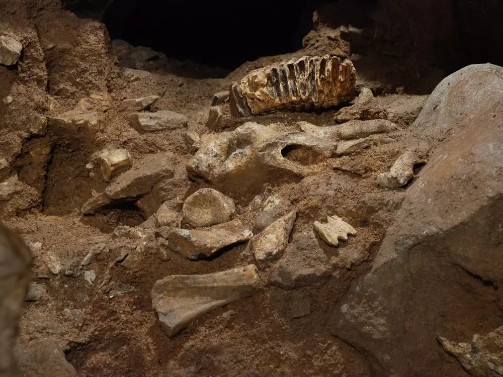 En gang plyndret av tyver, åpner den gamle hulen igjen med 3D-kopier av stjålne fossiler