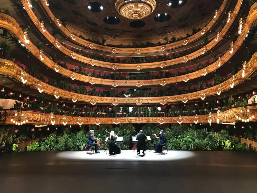 Inaugurazio gauean, Plants Roots-en audientzia Bartzelonako Opera Antzokirako