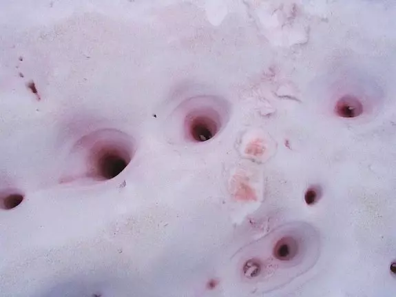 Ang Pink Snow na ito ay Hindi Kung Ano ang Inaakala Mo