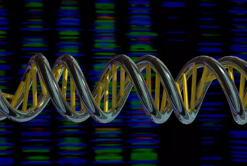 Chinas „CRISPR-Babys“ könnten eher jung sterben