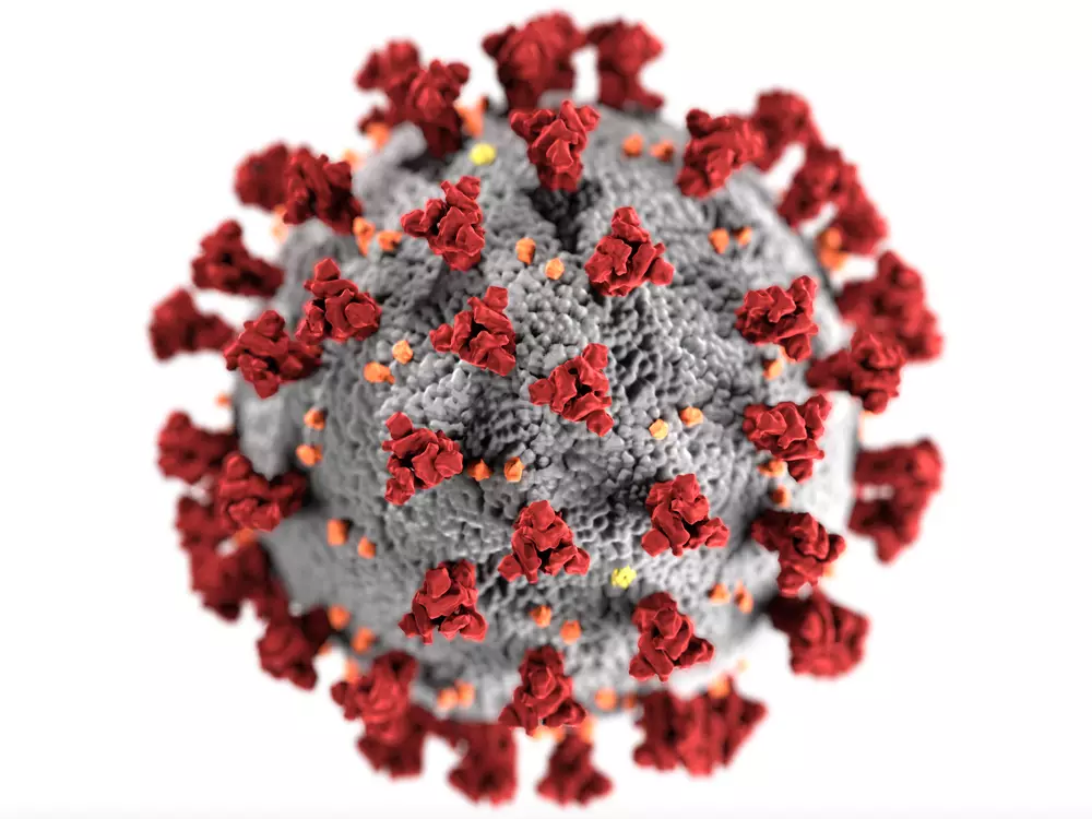 Ag Caint Faoi Athraitheacha Coronavirus Just a Tháinig Níos Éasca Le Córas Ainmnithe Litreach Nua na Gréige