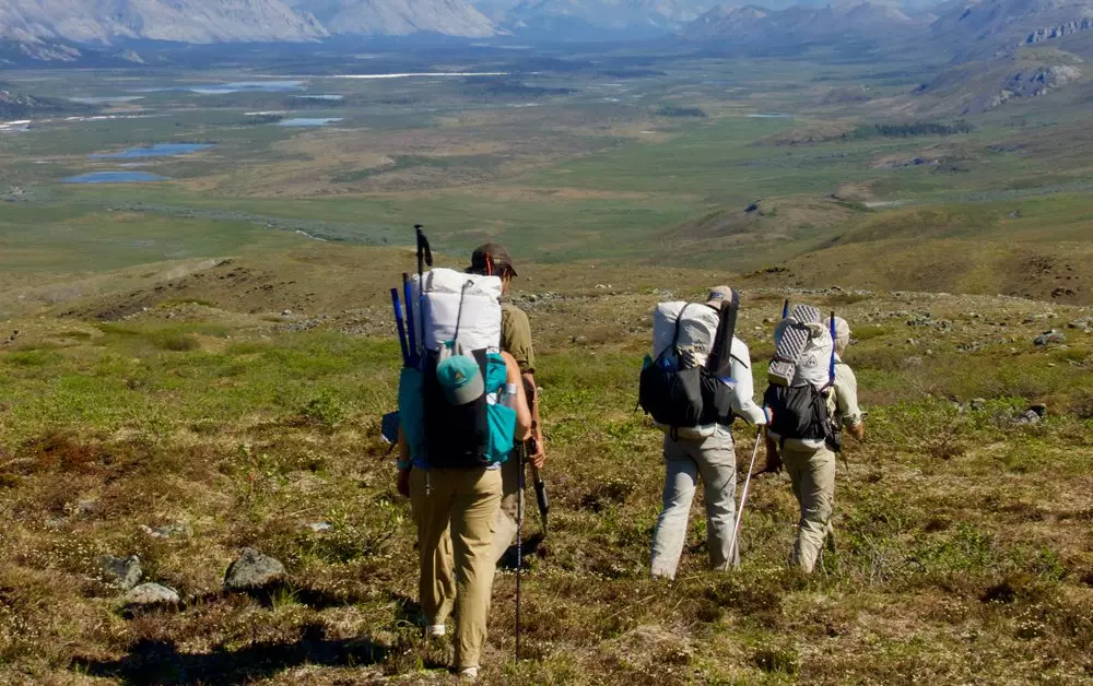 En resa till det nordligaste trädet i Alaska