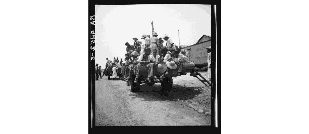 1936లో ముస్సెల్లా, జార్జియాలోని పండ్ల తోటలకు పీచ్ పికర్స్ నడపబడుతున్నాయి, డోరోథియా లాంగే ద్వారా ఫోటో తీయబడింది