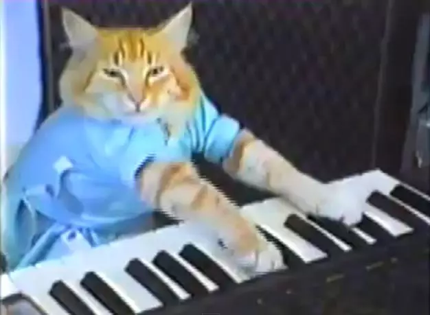 Keyboard Cat mém