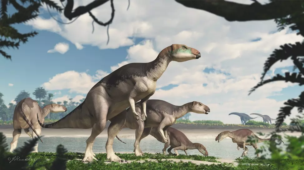 Opaalissa hohtavat dinosaurusluut paljastavat uuden lajin Australiassa