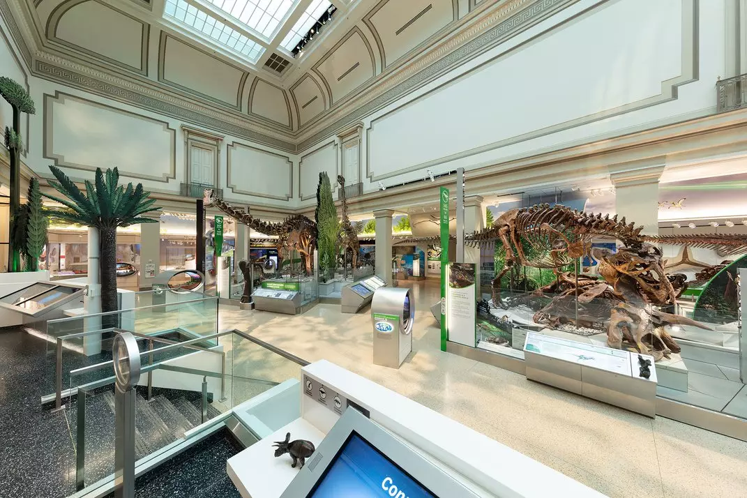 Meze de Ĉiuj Fosilioj, la Nova Dinosaŭro-Ekspozicio de Smithsonian Rakontas la Kompleksan Rakonton de Vivo 27551_10