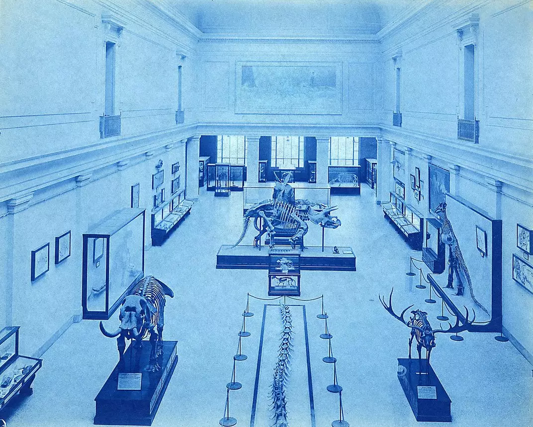 Meze de Ĉiuj Fosilioj, la Nova Dinosaŭro-Ekspozicio de Smithsonian Rakontas la Kompleksan Rakonton de Vivo 27551_2