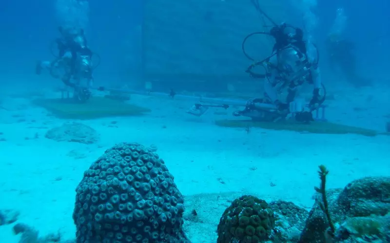 Giunsa Pagbisita ang Florida Keys Sama sa NASA Aquanaut 27565_10