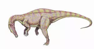 पौडी खेल्ने Spinosaurs