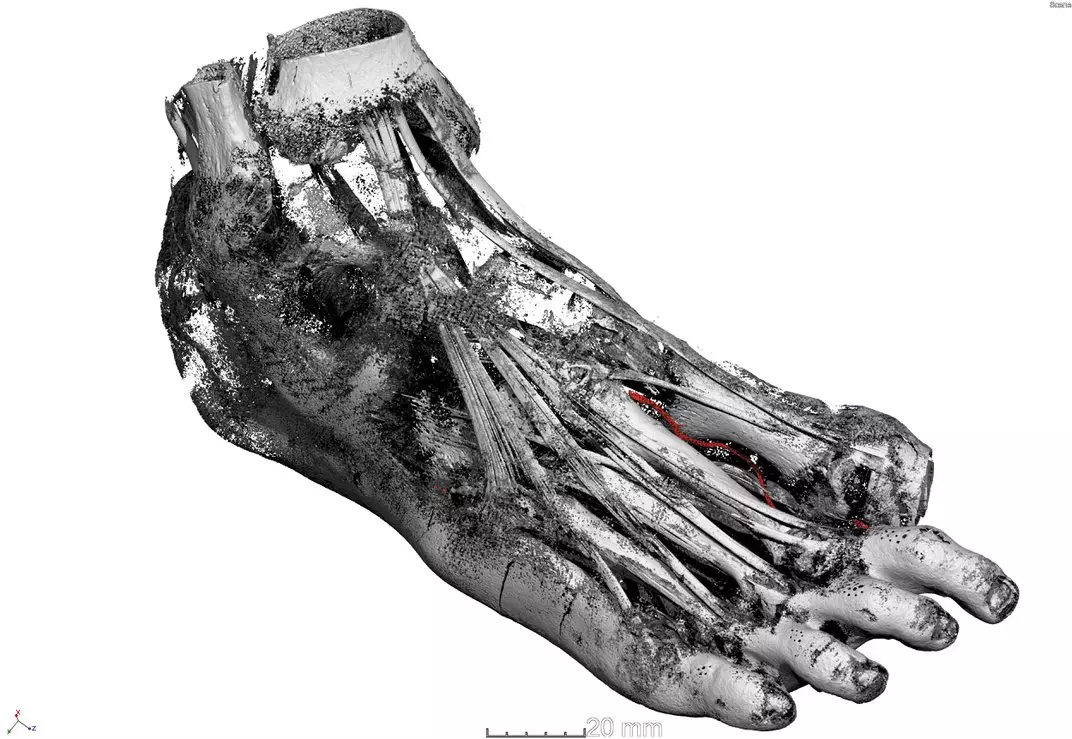 Tollund Man's foot