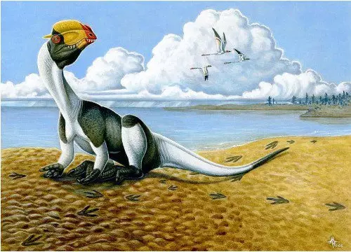 20110520083120dilophosaurus-डायनासोर-track-utah.jpg