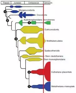 Zašto su sisavci preživjeli kada su dinosauri nestali?