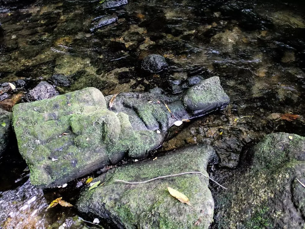 स्पेनिस नदीमा ७०० वर्ष पुरानो गोथिक मूर्ति भेटियो