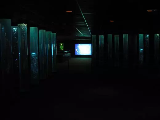 Балтимор дахь үндэсний аквариум
