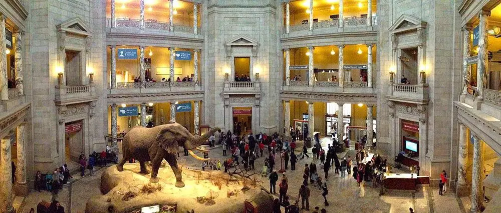 国家自然历史博物馆