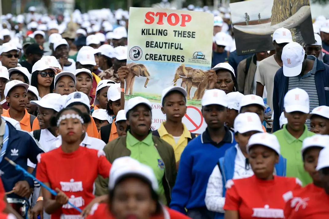 Пет работи што треба да ги знаете за одлуката на Боцвана да ја укине забраната за лов на слонови