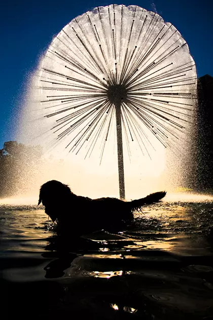 Gus S. Wortham Memorial Fountain