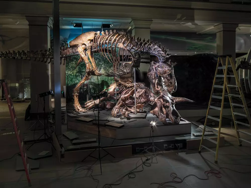 T. Rex in Deep Time-Ausstellung