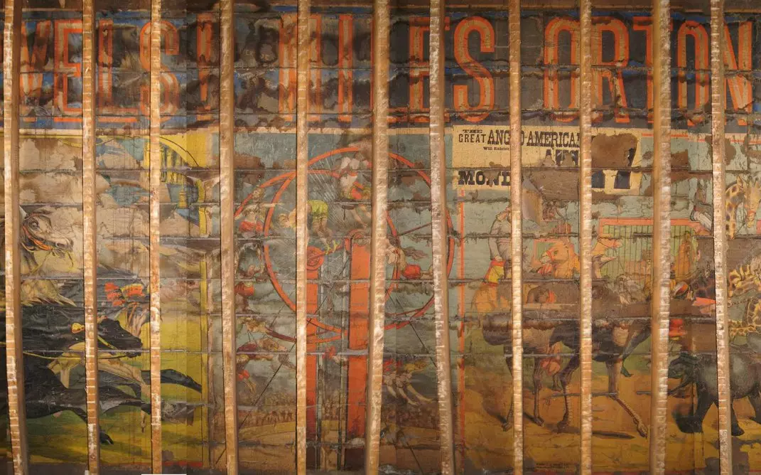 Enorme poster del circo del XIX secolo trovato nel bar Walls of Wisconsin 28263_3