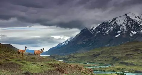 Les biais de financement affectent la protection de la faune dans les pays en développement