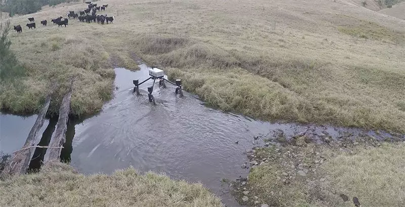Запознайте се със SwagBot, робот-каубой, който може сам да пасе и наблюдава добитък
