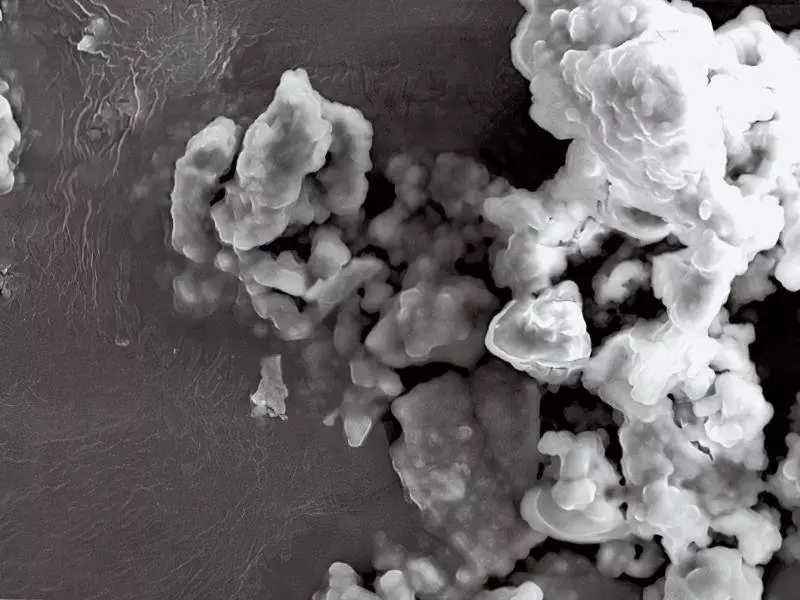 Инкан qeros-аас авсан титан цагаан өнгийн электрон микроскопоор хийсэн зураг.